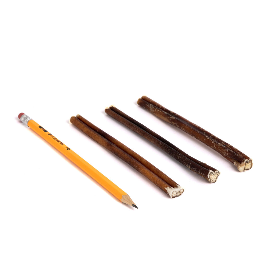 6" Bully Sticks | Thin (9-14g) | Very Low Odor - Wholesale & Bulk Bully ...